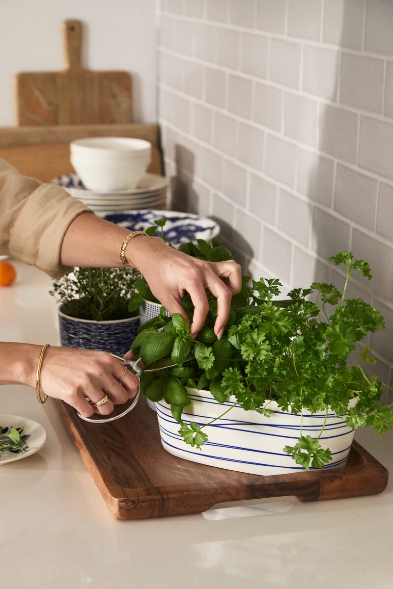 Trough Herb Planter Blue - Royal Doulton®